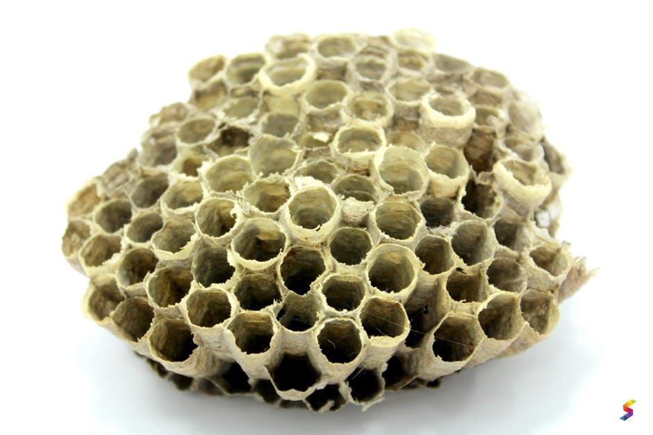 Define Hive Hive Meaning Hive Examples Hive Synonyms Hive Images Hive Vernacular Hive