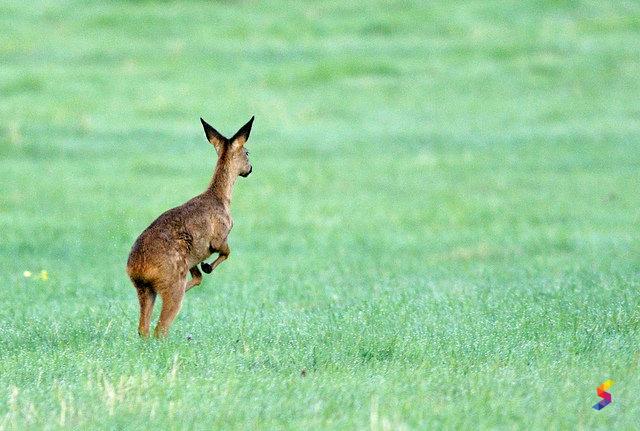 Define Upright, Upright Meaning, Upright Examples, Upright Synonyms ...