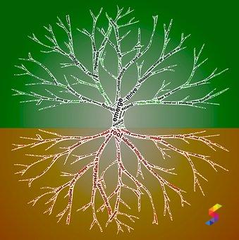 Permeate Definition