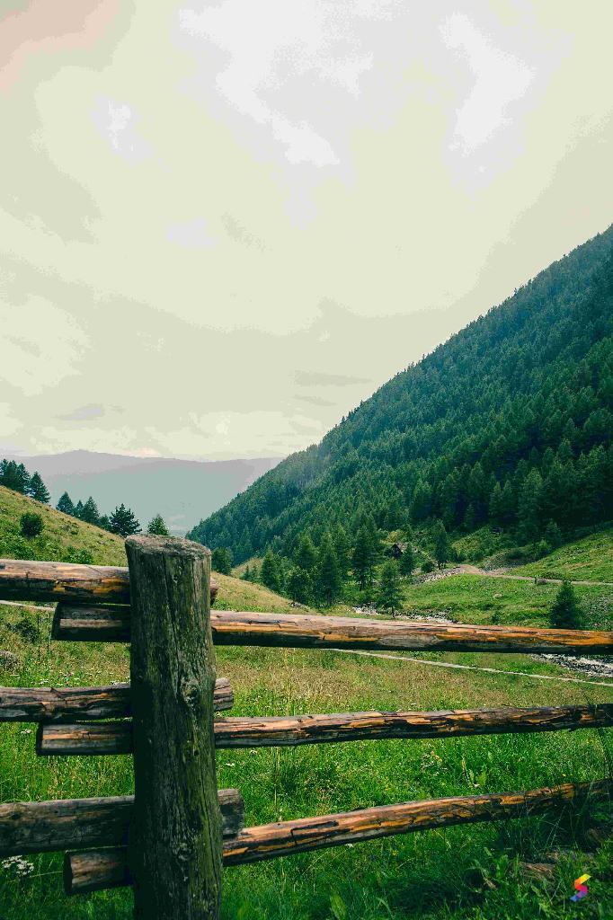 Define Fence, Fence Meaning, Fence Examples, Fence Synonyms, Fence ...