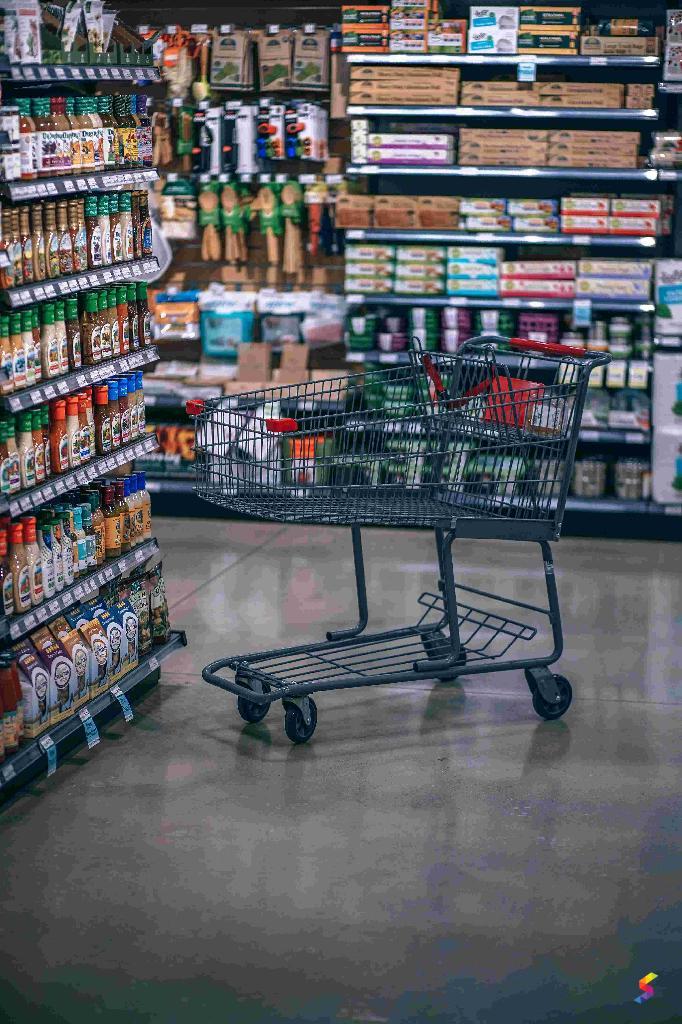 Define Groceries, Groceries Meaning, Groceries Examples, Groceries ...