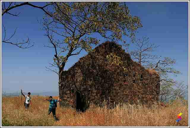 Define Wander, Wander Meaning, Wander Examples, Wander Synonyms, Wander ...