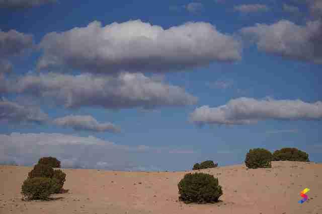 Define Sparse Sparse Meaning Sparse Examples Sparse Synonyms Sparse Images Sparse 0387