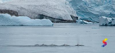 Define Frigid, Frigid Meaning, Frigid Examples, Frigid Synonyms, Frigid ...