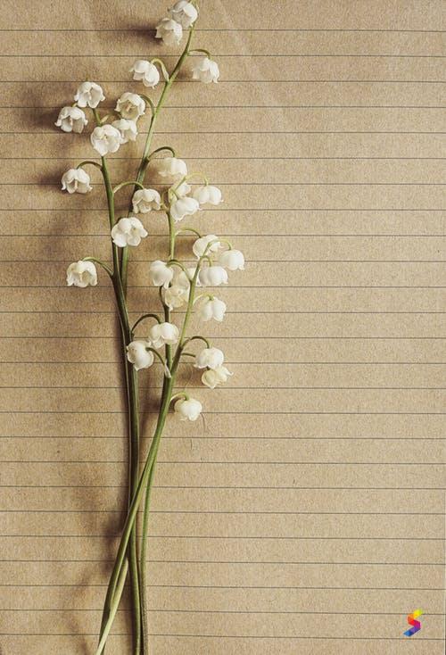 Define Droop, Droop Meaning, Droop Examples, Droop Synonyms, Droop ...