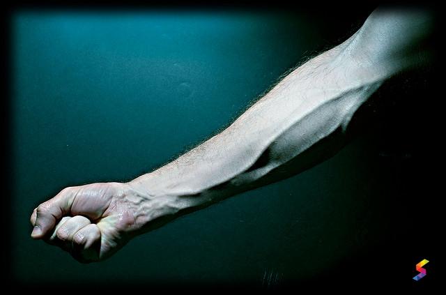 Define Vein, Vein Meaning, Vein Examples, Vein Synonyms, Vein Images ...