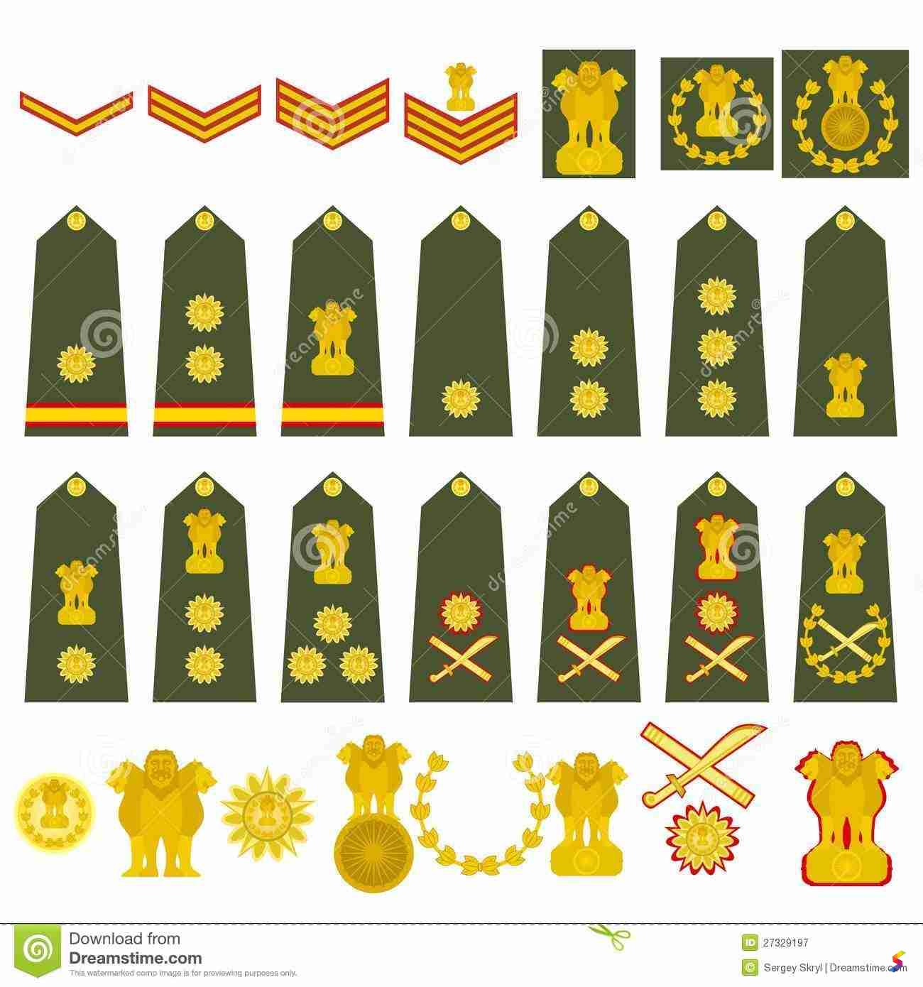 Define Insignia, Insignia Meaning, Insignia Examples, Insignia Synonyms ...