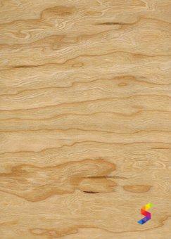 Define Veneer, Veneer Meaning, Veneer Examples, Veneer Synonyms, Veneer ...