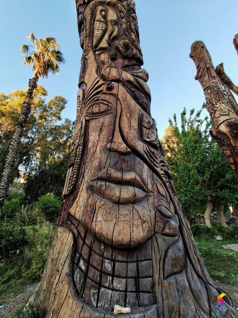 Define Pare, Pare Meaning, Pare Examples, Pare Synonyms, Pare Images ...