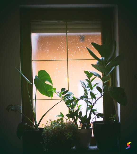 Define Window Window Meaning Window Examples Window Synonyms Window define-window-window-meaning-window-examples-window-synonyms-window