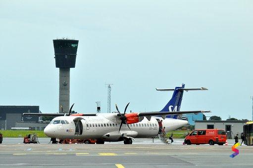 Define Alight, Alight Meaning, Alight Examples, Alight Synonyms, Alight ...