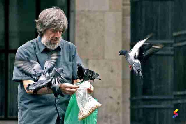 Define Unsparing, Unsparing Meaning, Unsparing Examples, Unsparing ...