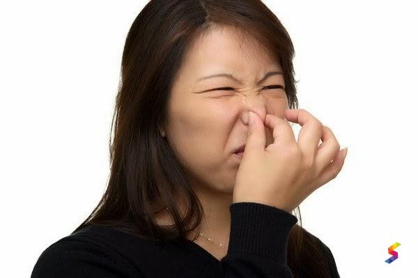 Define Noisome, Noisome Meaning, Noisome Examples, Noisome Synonyms ...