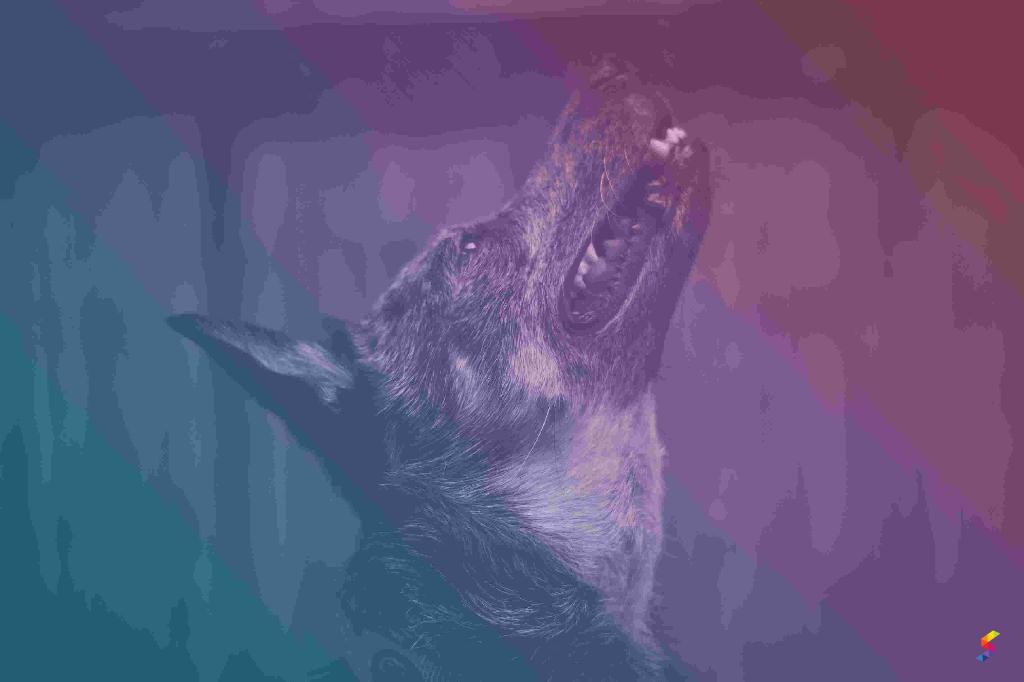 Define Howl, Howl Meaning, Howl Examples, Howl Synonyms, Howl Images ...