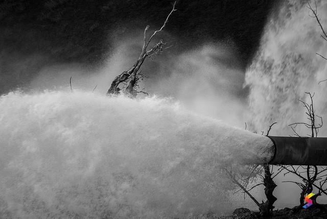 Define Gush, Gush Meaning, Gush Examples, Gush Synonyms, Gush Images ...