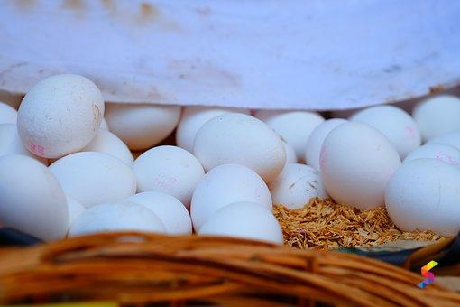 Define Spawn, Spawn Meaning, Spawn Examples, Spawn Synonyms, Spawn ...