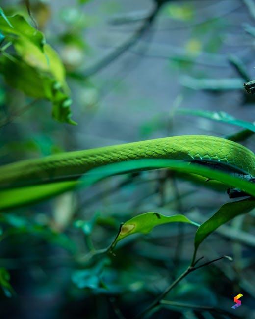 Define Viper Viper Meaning Viper Examples Viper Synonyms Viper define-viper-viper-meaning-viper-examples-viper-synonyms-viper