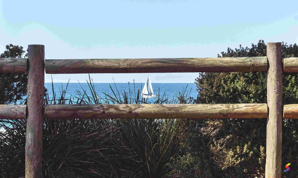 Define Fence, Fence Meaning, Fence Examples, Fence Synonyms, Fence ...