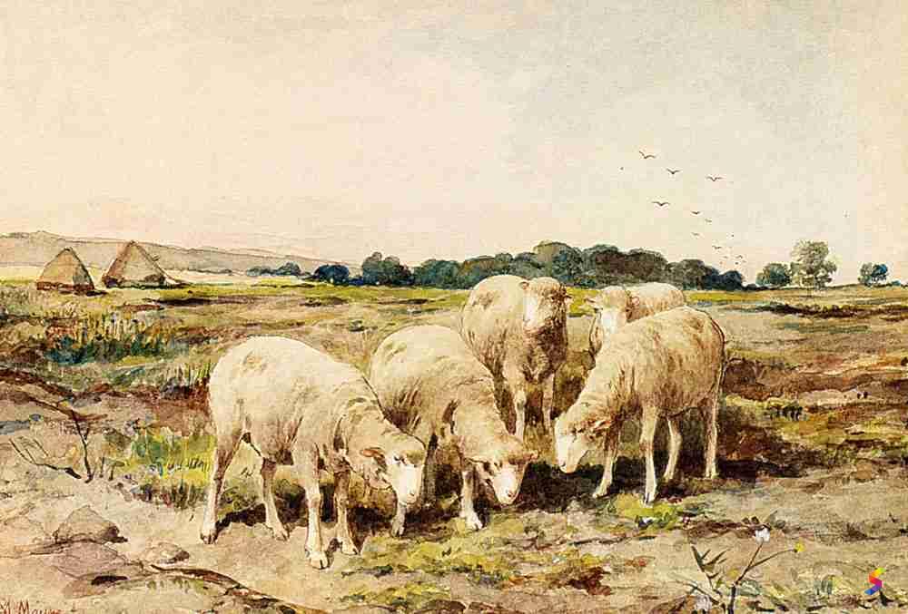 Define Graze, Graze Meaning, Graze Examples, Graze Synonyms, Graze ...