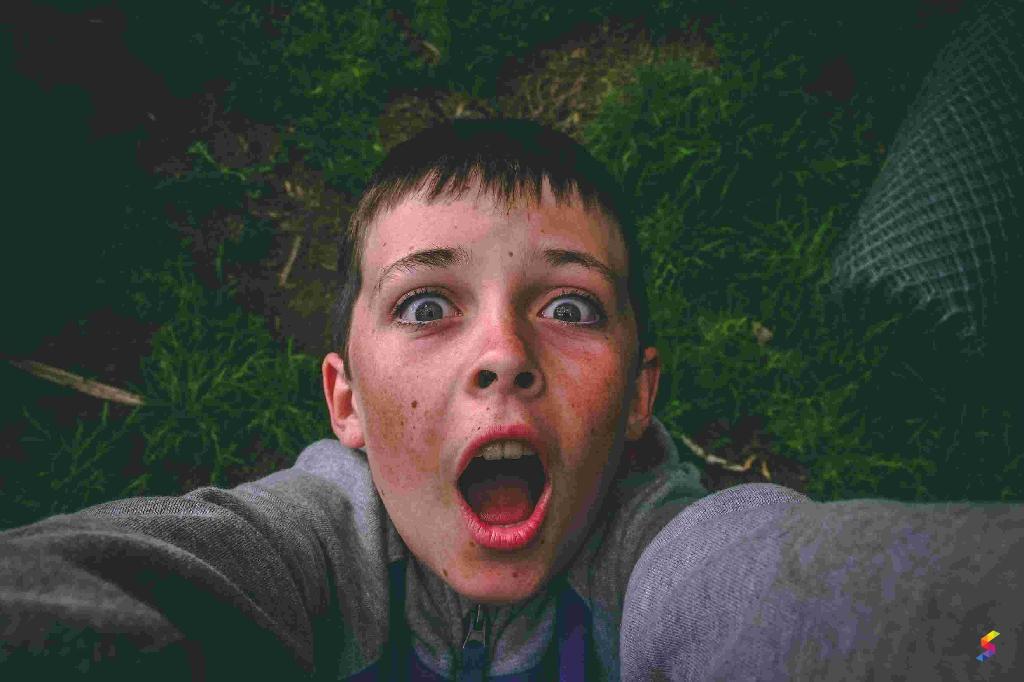 Define Stun, Stun Meaning, Stun Examples, Stun Synonyms, Stun Images ...