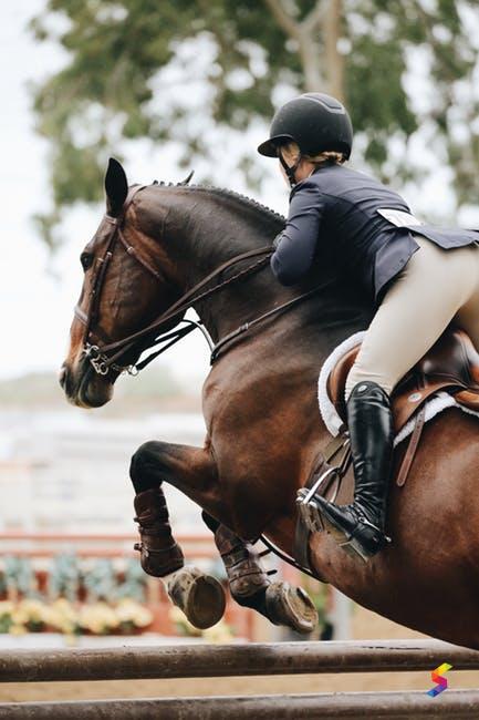 Define Rider Rider Meaning Rider Examples Rider Synonyms Rider define-rider-rider-meaning-rider-examples-rider-synonyms-rider