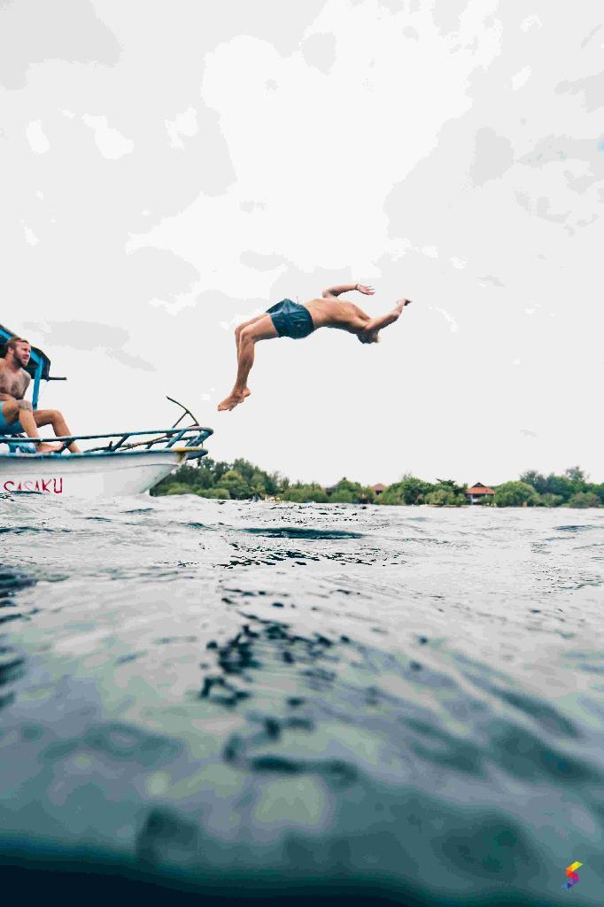 Define Dive, Dive Meaning, Dive Examples, Dive Synonyms, Dive Images ...