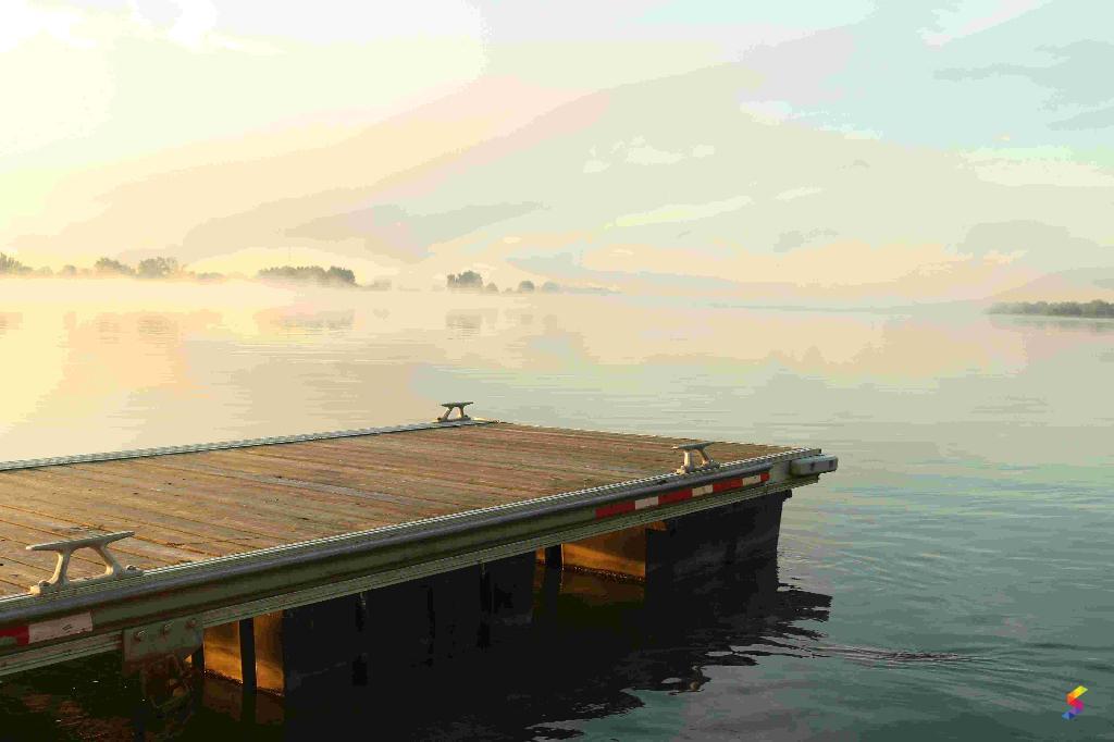 Define Dock, Dock Meaning, Dock Examples, Dock Synonyms, Dock Images ...