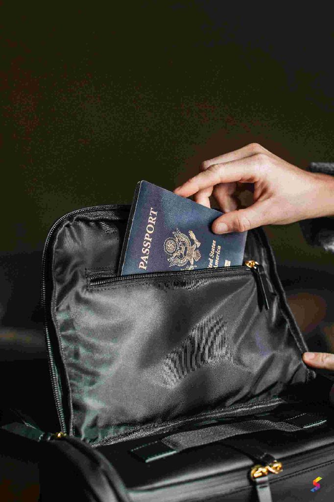 Define Passport, Passport Meaning, Passport Examples, Passport Synonyms ...