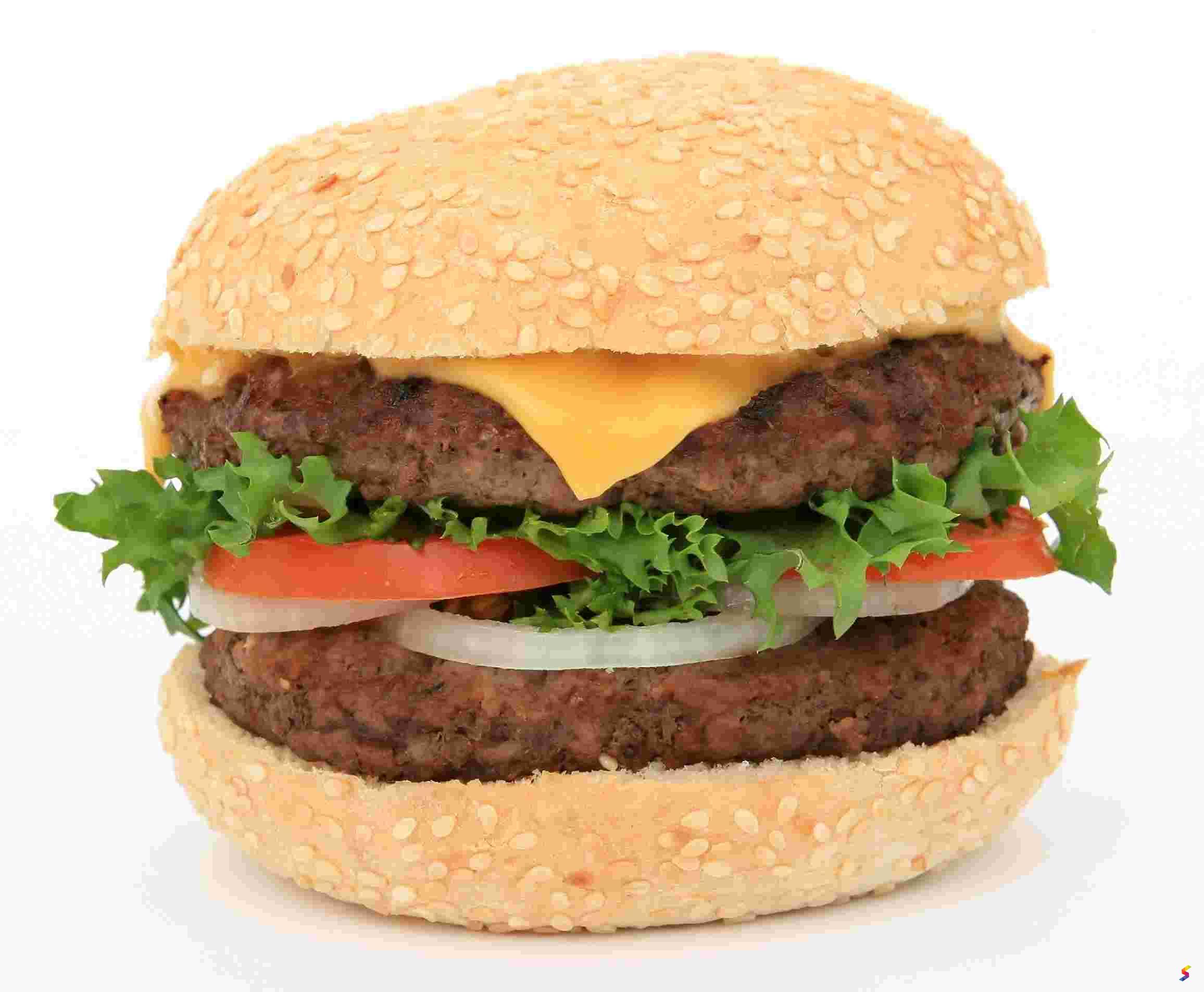 Define Hamburger, Hamburger Meaning, Hamburger Examples, Hamburger ...