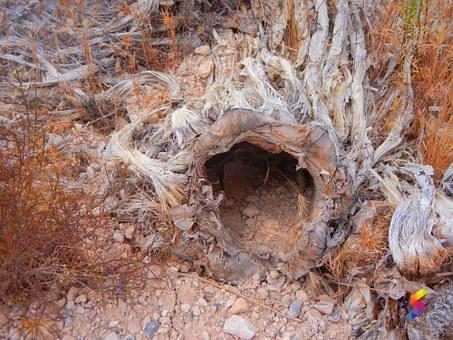 Define Burrow, Burrow Meaning, Burrow Examples, Burrow Synonyms, Burrow ...