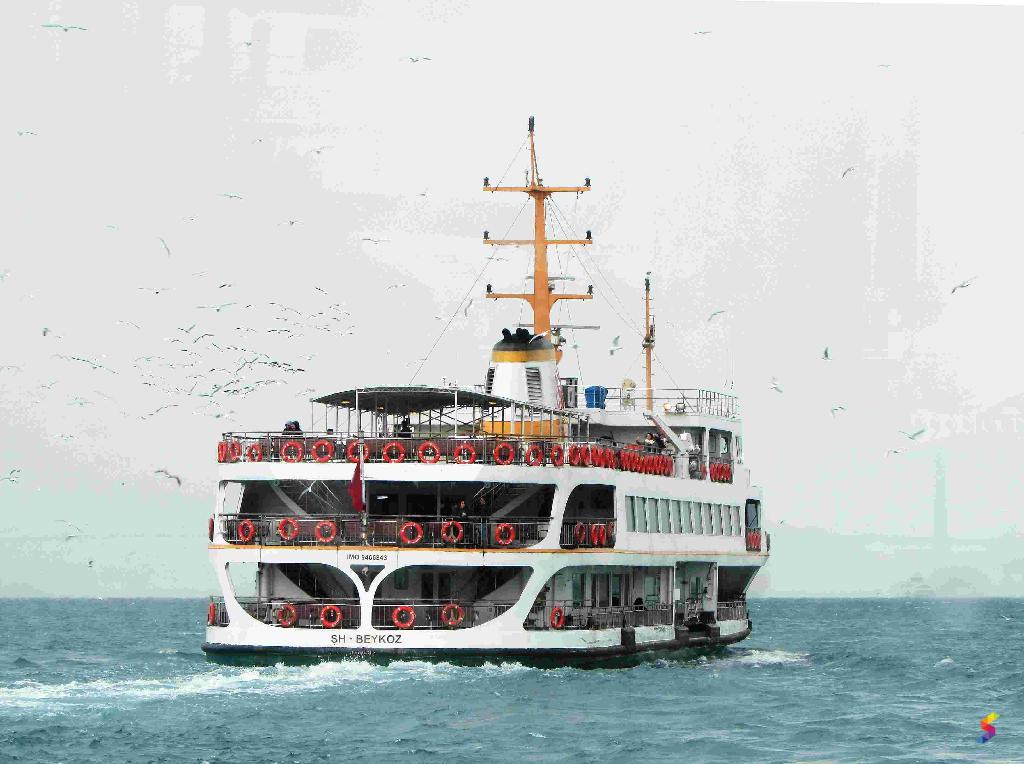 Define Ferry, Ferry Meaning, Ferry Examples, Ferry Synonyms, Ferry ...