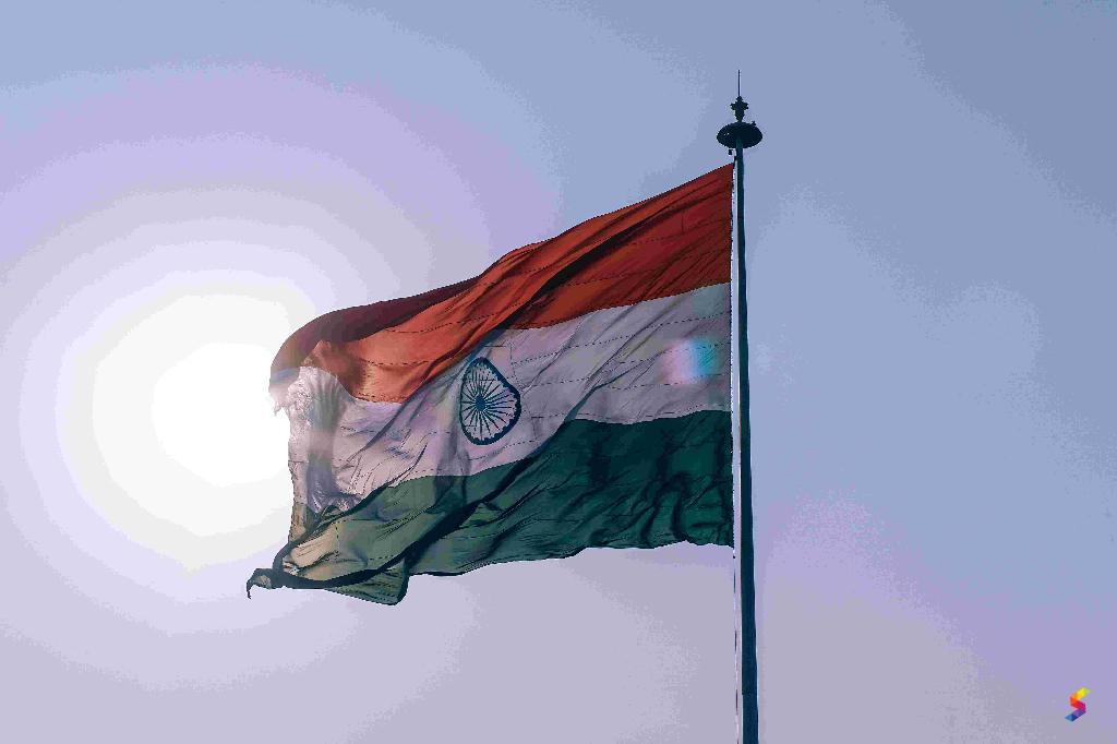 Define Flag, Flag Meaning, Flag Examples, Flag Synonyms, Flag Images ...