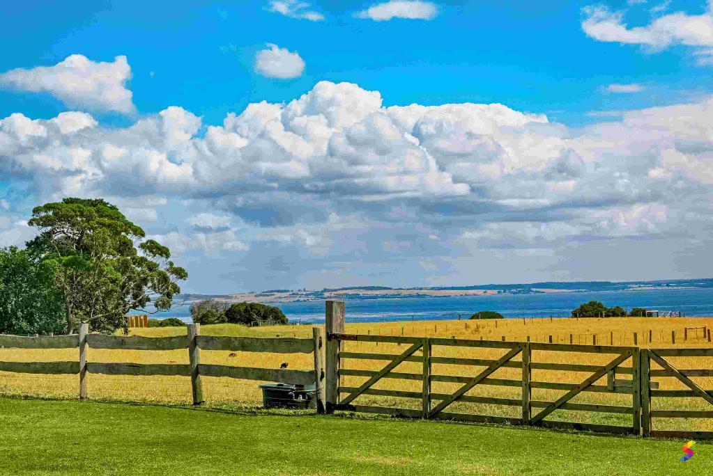Define Fence, Fence Meaning, Fence Examples, Fence Synonyms, Fence ...