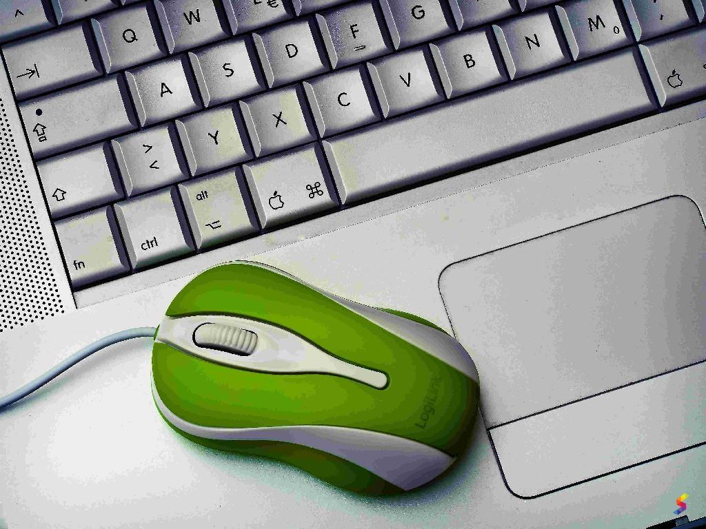 Define Mouse, Mouse Meaning, Mouse Examples, Mouse Synonyms, Mouse ...