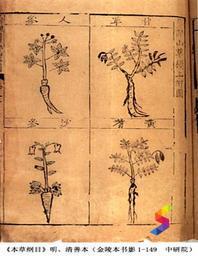 Define Compendium, Compendium Meaning, Compendium Examples, Compendium ...