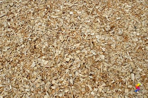 Define Shred, Shred Meaning, Shred Examples, Shred Synonyms, Shred ...