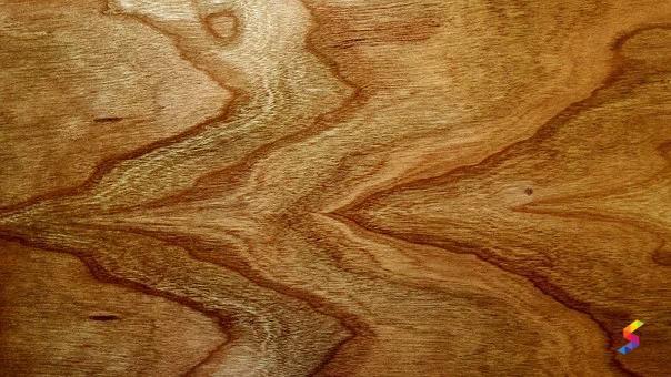 Define Veneer, Veneer Meaning, Veneer Examples, Veneer Synonyms, Veneer ...