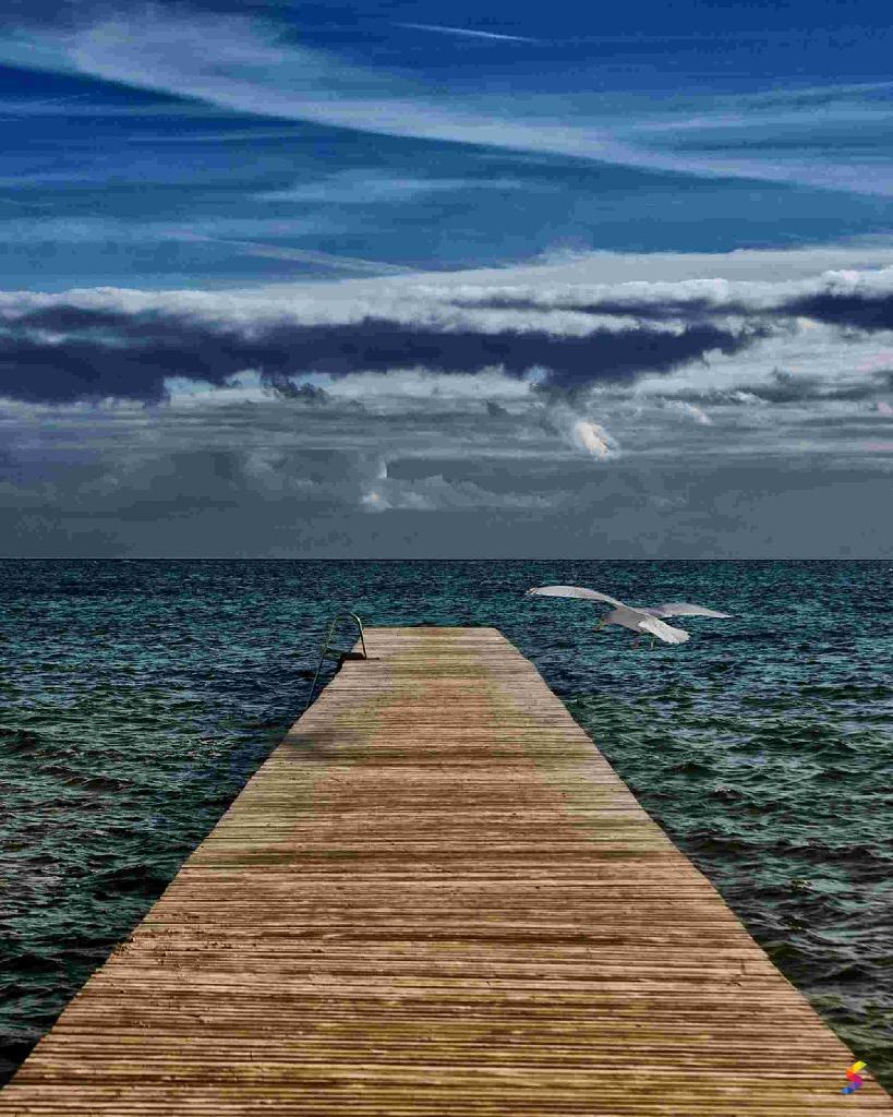 Define Dock, Dock Meaning, Dock Examples, Dock Synonyms, Dock Images ...