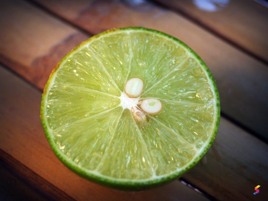 Define Section, Section Meaning, Section Examples, Section Synonyms ...