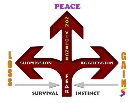 Define Submission, Submission Meaning, Submission Examples, Submission ...