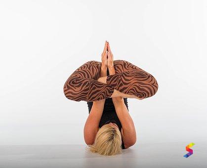 Define Pliant, Pliant Meaning, Pliant Examples, Pliant Synonyms, Pliant ...