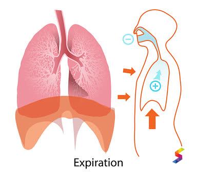 Define Expire, Expire Meaning, Expire Examples, Expire Synonyms, Expire ...