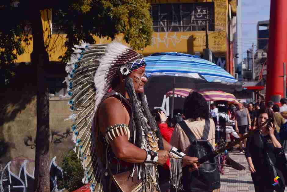 Define Indigenous, Indigenous Meaning, Indigenous Examples, Indigenous ...