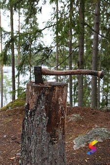 Define Cleave, Cleave Meaning, Cleave Examples, Cleave Synonyms, Cleave ...