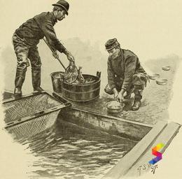 Define Impregnate, Impregnate Meaning, Impregnate Examples, Impregnate ...