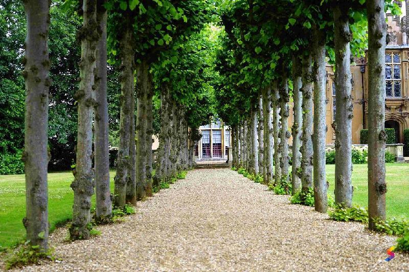 Define Pathway, Pathway Meaning, Pathway Examples, Pathway Synonyms ...