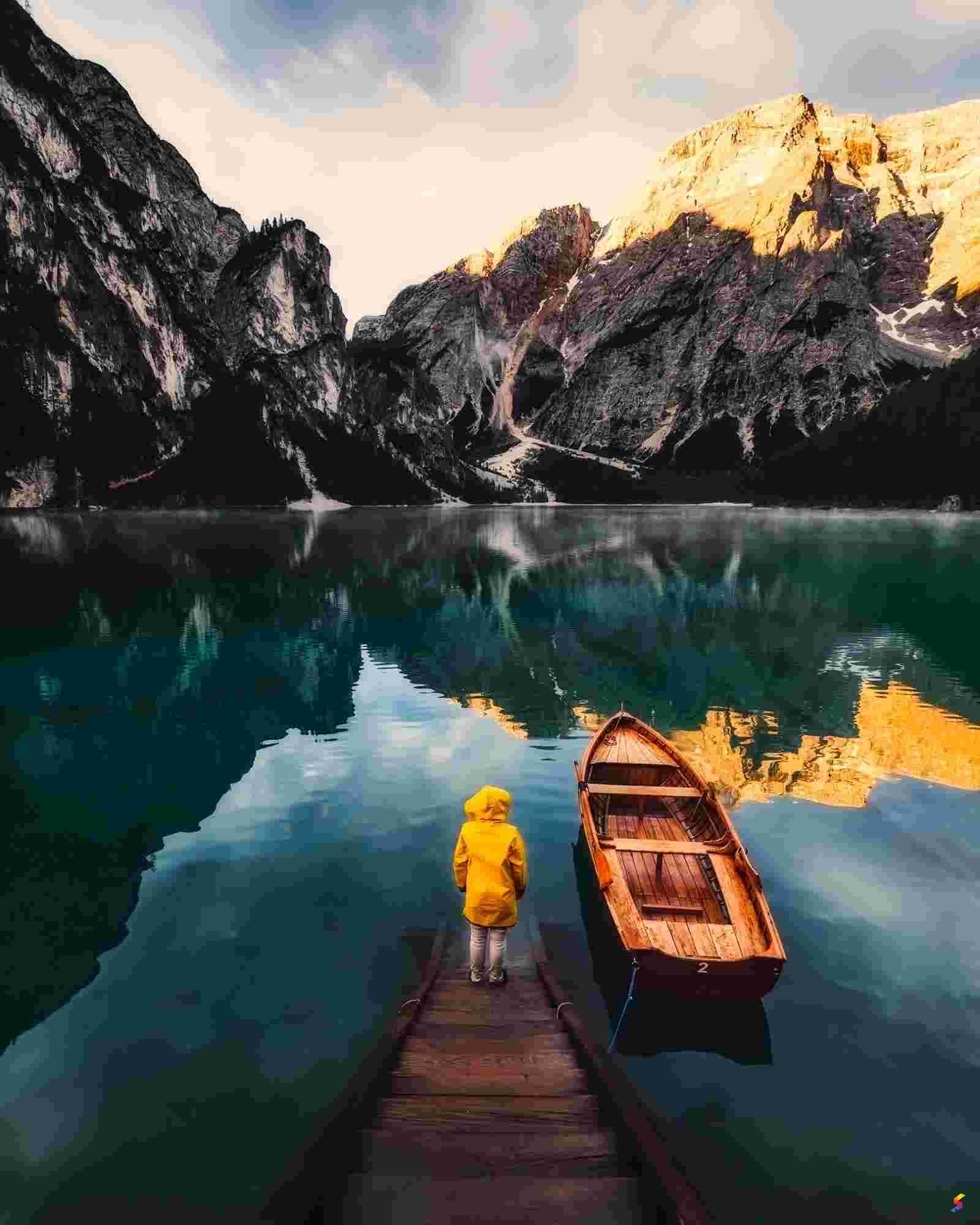 Define Dock, Dock Meaning, Dock Examples, Dock Synonyms, Dock Images ...